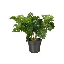 Butlers Kunstpflanze FLORISTA Monstera in Gr&uuml;n | Gr.: onesize