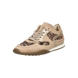 Gabor Sneaker in Sand | Gr.: 42,5