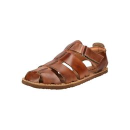 Pikolinos Sandalen in Braun | Gr.: 46