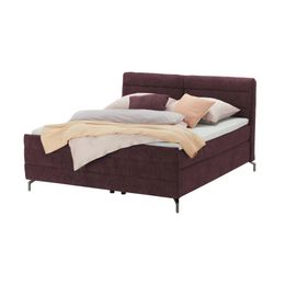 pop Boxspringbett Maranello &brvbar; lila/violett &brvbar; Ma&szlig;e (cm): B: 168 H: 116 &raquo; H&ouml;ffner