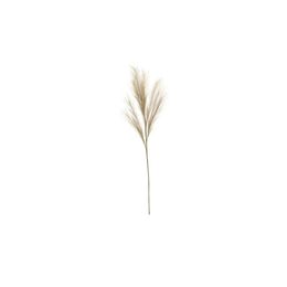 H&ouml;ffner Pampaswedel &brvbar; braun &brvbar; Kunststoff,Naturfaser &brvbar; Ma&szlig;e (cm): B: 18 H: 110 &raquo; H&ouml;ffner