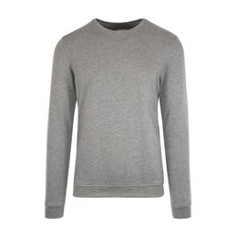 JBS of Denmark Sweatshirt male Grey size S