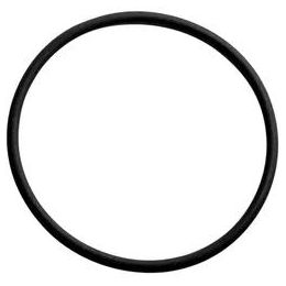 Wolf Garten Wolf Dichtung Abgasrohr unten O-Ring 8616312 74x4mm, f&uuml;r CGB-2-38/55