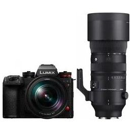 Panasonic Lumix DC-S1RII+S 24-105mm f4 + Sigma 70-200mm f2,8 L-Mount