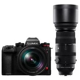 Panasonic Lumix DC-S1RII + S 24-105mm f4 + Sigma 150-600mm f5-6,3 L-Mo