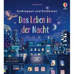 USBORNE Kinderbuch Aufklappen und Entdecken: Das Leben in der Nacht