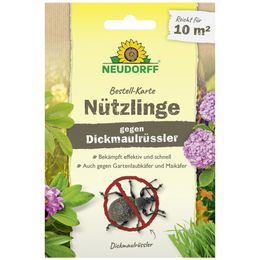 Neudorff Bestell-Karte N&uuml;tzlinge gegen Dickmaulr&uuml;ssler