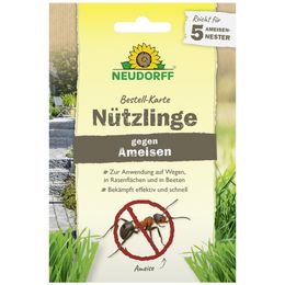 Neudorff Bestell-Karte N&uuml;tzlinge gegen Ameisen