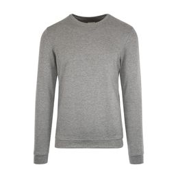 JBS of Denmark Sweatshirt Herren Gr&ouml;&szlig;e XXL grau