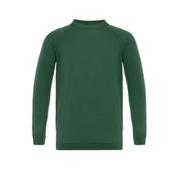 Antioch Pullover Herren Gr&ouml;&szlig;e M dunkelgr&uuml;n