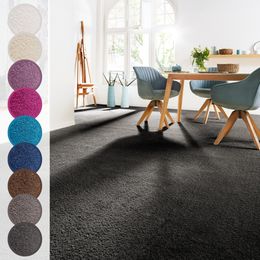 ANDIAMO Teppichboden "Sophie, Frisee-Velours, Made in Netherlands", B : 500cm 1 Stk., 12mm, L: 500cm, grau, Schlafzimmer, Teppiche, Uni Farben,