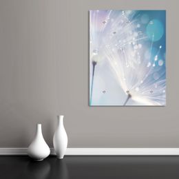 Garderobenleiste queence, B:100cm H:120cm T:3cm, blau, Acrylglas, Garderobenhalter, "Dandelion", Wand Garderobe, Pflanze, Pusteblume, platzsparend