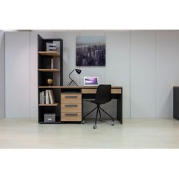 Aktenschrank GAMI, B:42cm H:62cm T:60cm, braun, Holzwerkstoff, B&uuml;ro, Schr&auml;nke, "ARCADE", wahlweise 1 Schublade f&uuml;r H&auml;ngeregister oder 1 Stiftbox