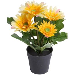 Kunstblume BOTANIC-HAUS, B:24cm H:26cm T:24cm &Oslash;:24cm, gelb, Kunststoff, Kunstpflanzen, "Gerbera mit 5 Bl&uuml;ten"
