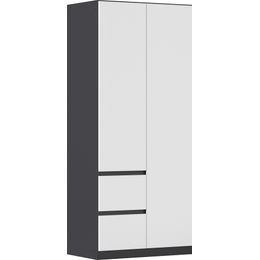 Dreht&uuml;renschrank Rauch, B:91cm H:210cm T:54cm, grau, Holzwerkstoff, Schr&auml;nke, "Kleiderschrank Schrank Garderobe Garderobenschrank MAINZ", grifflose