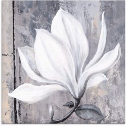 Glasbild Artland, B:40cm H:40cm, grau, K&uuml;che, Bilder, "Klassische Magnolie", in verschiedenen Gr&ouml;&szlig;en