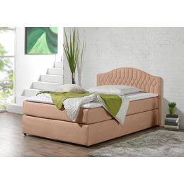 Boxspringbett Maintal, braun, Seitliche Einfassung Unterbox und Obermatratze: Mikrovelours (100% Polyester);Spiegelfl&auml;che der Unterbox und
