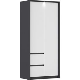 Dreht&uuml;renschrank Rauch, B:96cm H:212cm T:58cm, grau, Holzwerkstoff, Schr&auml;nke, "Mainz mit Passepartout", optional mit Beleuchtung, Au&szlig;ent&uuml;ren mit