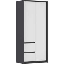 Dreht&uuml;renschrank Rauch, B:96cm H:212cm T:58cm, grau, Holzwerkstoff, Schr&auml;nke, "Mainz mit Passepartout", optional mit Beleuchtung, Au&szlig;ent&uuml;ren mit