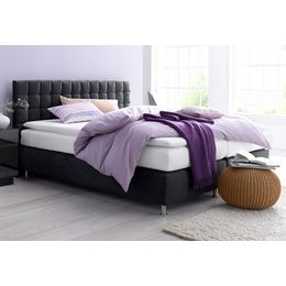 Boxspringbett, B:155cm L:210cm, schwarz, Westfalia Schlafkomfort, Microvelours (100% Polyester);Strukturstoff (77% Polyester und 23%