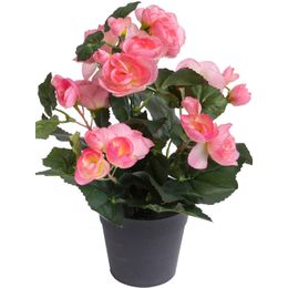 Kunstblume BOTANIC-HAUS, B:18cm H:26cm T:18cm &Oslash;:18cm, pink, Kunststoff, Kunstpflanzen, "Begonienbusch mit 7 Stielen"