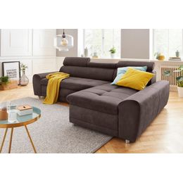 Sit & More Ecksofa SIT & MORE, B:272cm H:92cm T:169cm, braun, Flachgewebe (100% Polyester);Luxus-Microfaser (100% Polyester);Struktur (100% Polyester),
