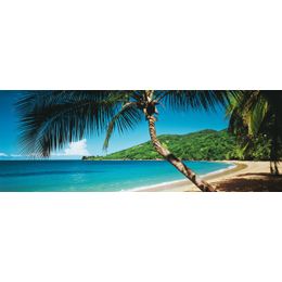 papermoon Fototapete "Palm Beach Panorama", B/L: 3,5m x 1m, bunt, Tapeten