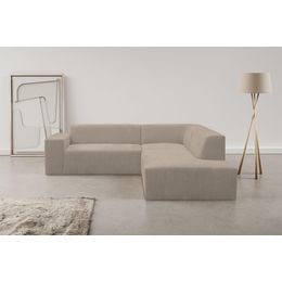 Ecksofa WERK2, B:251cm H:70cm T:262cm, braun, 100% Polyester, Wohnzimmer, Sofas, "Zeus-M, tolles Sofa mit sch&ouml;nen Details, L-Form", Curvy Trend