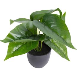 K&uuml;nstliche Zimmerpflanze BOTANIC-HAUS, B:28cm H:24cm T:28cm &Oslash;:28cm, gr&uuml;n, Kunststoff, Kunstpflanzen, "Philodendron"