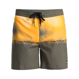 Quiksilver Herren Boardshorts "Everyday 16""grape leaf wordblock, Gr. 40, Obermaterial: 100% Microfaser;, Hosen