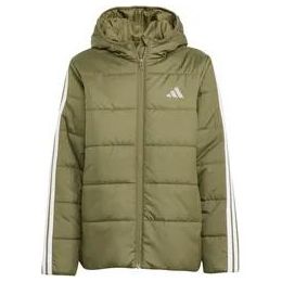 Adidas Essentials 3-Streifen Padded Winterjacke Kinder JL7405 - olive strata/white 164