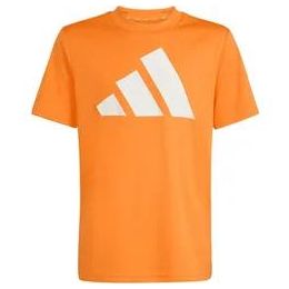Adidas Train Essentials Big Logo Trainingsshirt Kinder KB6808 - dusky orange/white 128