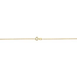 Firetti Damen Collierkettchen "Schmuck Geschenk Gold 333 o. 585 Halskette Fuchsschwanzkette dreifach", 40, Gelbgold 585, B: 1,1mm, gold, Gelbgold