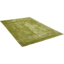 Hochflor-Teppich Gino Falcone, B:65cm H:25mm L:135cm, gr&uuml;n, Kunstfaser, Teppiche, "Alessandro", besonders weich durch Microfaser, ideal im Wohnzimmer