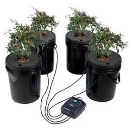 VEVOR DWC Hydroponics Grow System, Hydroponisches Anbausystem, Deep Water Culture 5 Gallonen 4 Eimer, DWC-System mit Luftpumpe, Luftsteinen und Wasserstandsanzeige f&uuml;r Blattgem&uuml;se