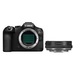 Canon EOS R6 III + EF-EOS R Adapter mit Objektiv-Steuerring