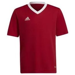 Adidas Entrada 22 Trikot Kinder tepore 164