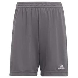 Adidas Entrada 22 Fu&szlig;ball Shorts Kinder tegrfo 140
