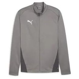 Puma teamGOAL Trainingsjacke Herren 13 - cast iron/Puma white/shadow gray XL