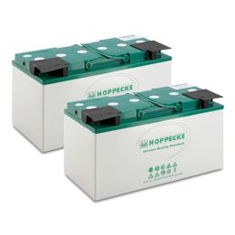 K&auml;rcher Batteriesatz AGM 2x 12V/80Ah