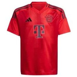 Adidas FC Bayern M&uuml;nchen Heimtrikot 2024/25 Kinder IT2249 - red 128