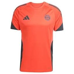 Adidas FC Bayern M&uuml;nchen Trainingstrikot 2025/26 Herren JP1786 - easy coral S