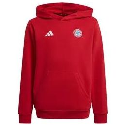 Adidas FC Bayern M&uuml;nchen Hoodie 2024/25 Kinder IT4134 - team power red 2 128