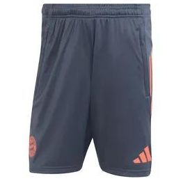 Adidas FC Bayern M&uuml;nchen Trainingsshorts 2025/26 Herren JN8776 - bold onix XS