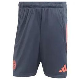 Adidas FC Bayern M&uuml;nchen Trainingsshorts 2025/26 Herren JN8776 - bold onix M