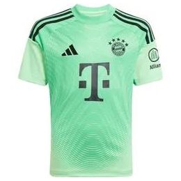 Adidas FC Bayern M&uuml;nchen Torwarttrikot 2025/26 Kinder JN8507 - glory mint 164