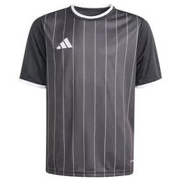Adidas Entrada 26 Graphic Trikot Kinder KB3990 - black/white 152