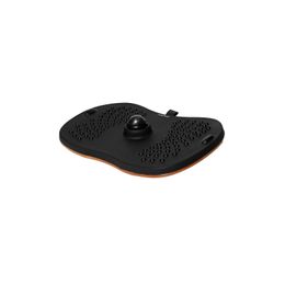 Swedish Posture Standy Balanceboard