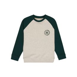 Sweatshirt DC Shoes "DC Corpo Raglan", Jungen, Gr. 14(155-164cm), ponderosa pine, Obermaterial: 55% Walkfrottier, 25% Walkfrottier, 20% Microfaser;, Sweatshirts Sweatshirt
