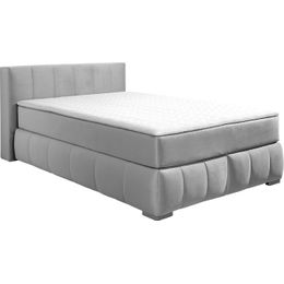 Boxspringbett Home Affaire "Chelles", silber, B:147cm L:245cm, Samtoptik (100% Polyester);Bezug der Spiegelfl&auml;che Matratzendrell aus 100% Polyester;Struktur fein 100% Polyester), Komplettbetten, Boxspringbett, inkl. Topper,, in XXL- &Uuml;berl&auml;nge 220 cm, Unterbox mit feine W&ouml;lbung